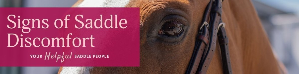 Signs of Saddle Discomfort in Horses – Saddles Direct