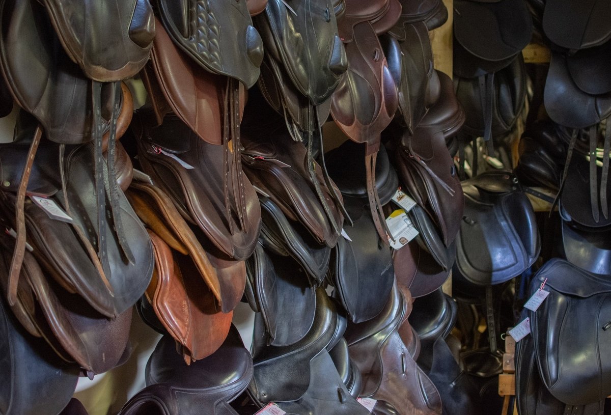 Shop All Saddles at Saddles Direct
