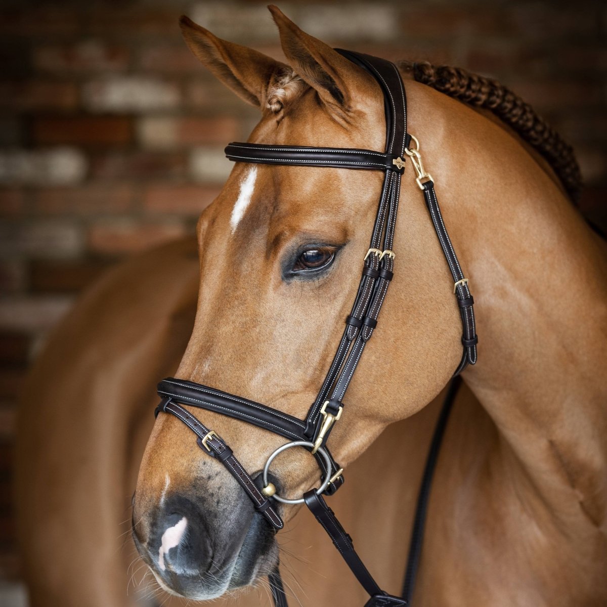 Shop Bridles & Leatherwork at Saddles Direct