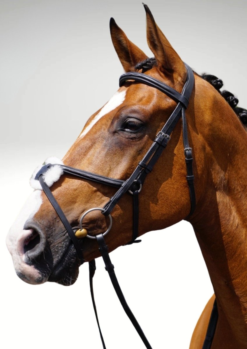 GFS TRANSITION GRACKLE BRIDLE | Saddles Direct