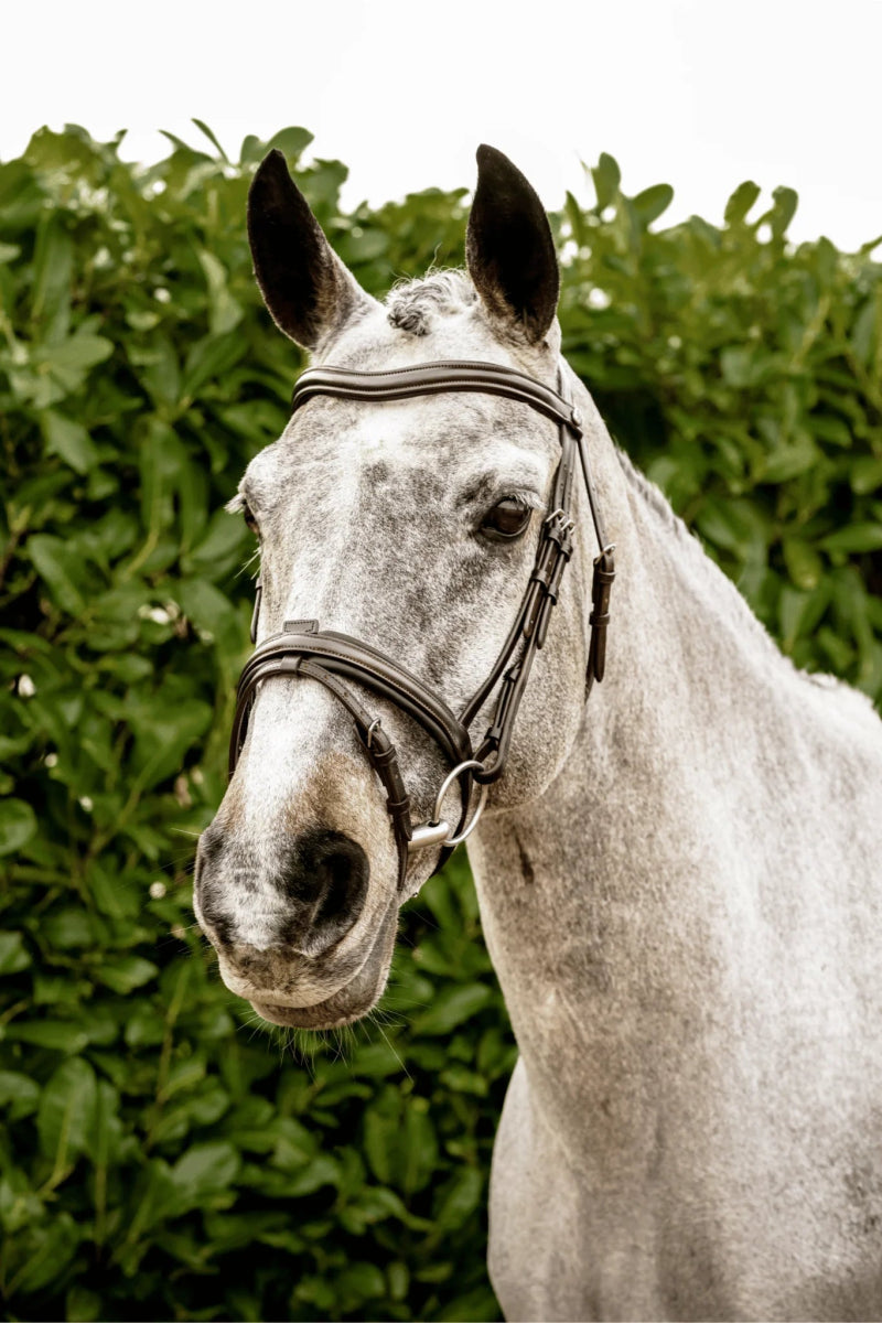 Henry James Saddlery Comfort 3D Flash Bridle | Saddles Direct